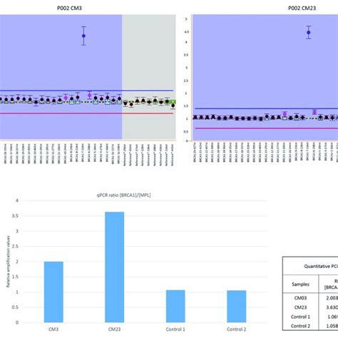 A Mlpa Results For Brca Genes The Left Electropherogram Shows An