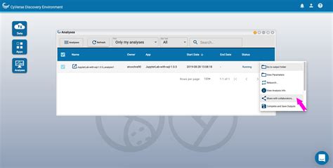 Discovery Environment Vice — Cyverse Learning Institute Foundational