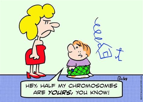 Meiosis Cartoon