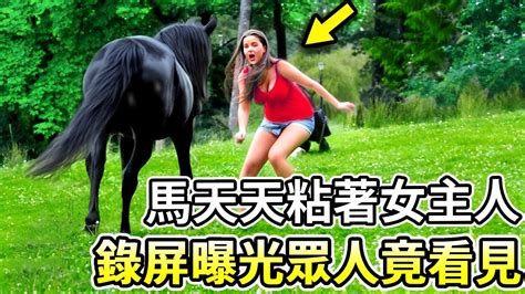 馬天天粘著女主人就連睡覺也要一起直到一段錄屏在網上瘋傳眼前畫面嚇得眾人頭皮發麻 動物 人與動物 動物救援 YouTube