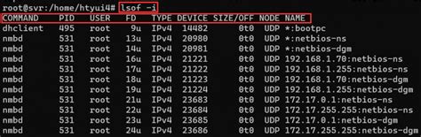 linux 查看端口占用情况 思途小站