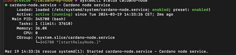Cardano Node Active Activating Auto Restart Setup A Stake Pool Cardano Forum