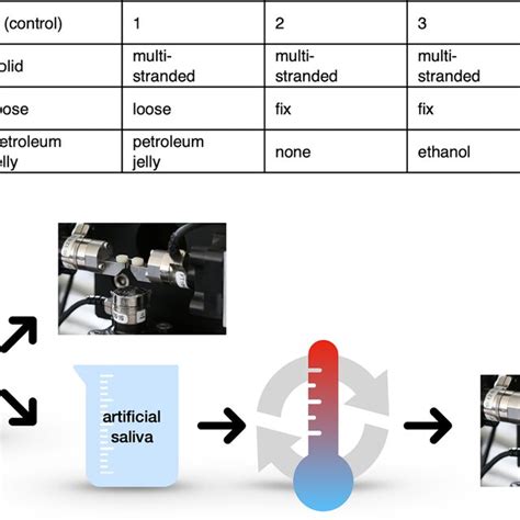 Group Classification And Treatment Protocol Groups With Loose Adhesive