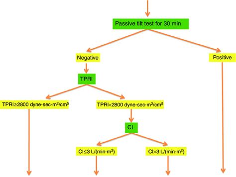 Diagnostic Algorithm For Reflex Syncope In Athletes Ci Cardiac Index Download High