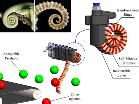 The Proposed Bio Inspired Design For Sorting Applications That Utilizes Download Scientific