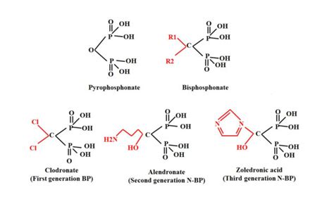 Structure Of Pyrophosphonate Top Left General Structure Of A Download Scientific Diagram