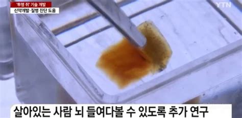 Instiz