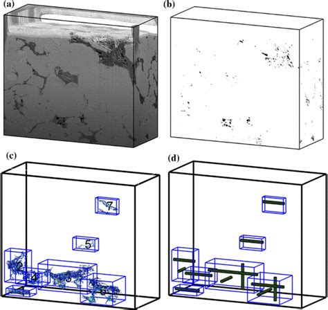 fib sem imaging data and processing results for the sichuan marine