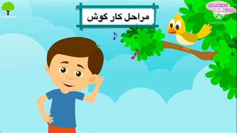 علوم پنجم ابتدایی، درس 6، چه خبر؟ قسمت گوش