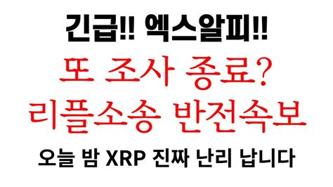 리플 완전 미쳤습니다 또 조사 종료 대박입니다 리플소송 반전속보 오늘 밤 Xrp 진짜 난리납니다 엑스알피 무조건 올라요