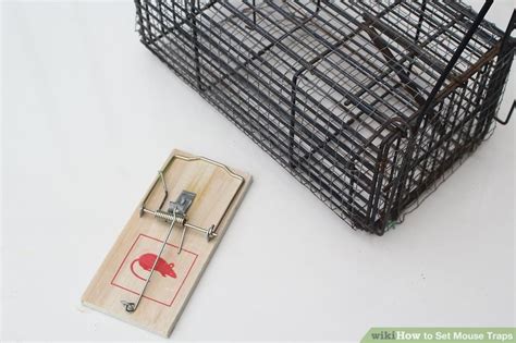 How To Set Mouse Traps 12 Steps With Pictures WikiHow