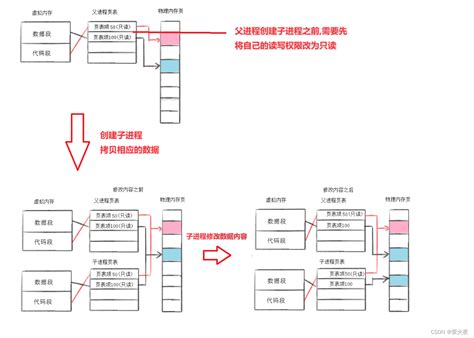 linux之进程控制 linux内核能用perror csdn博客