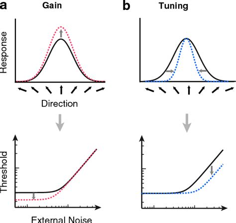 Figure 1 From How Spatial And Feature Based Attention Affect The Gain
