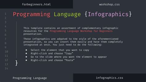 Programming Language Workshop For Beginners Infographics