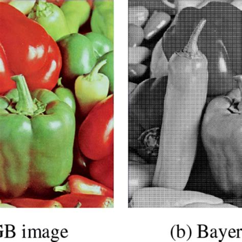 Conversion Of An RGB Image To A Bayer Image Download Scientific Diagram