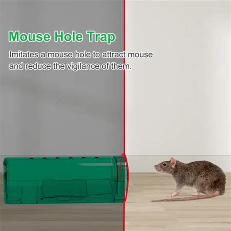 Dropship 2pcs Reusable Humane Mouse Trap Live Catch And Release Mouse