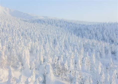 일본 겨울 여행 겨울철에 일본 여행 어디갈까 12곳의 도시 추천 Live Japan 일본여행·추천명소·지역정보