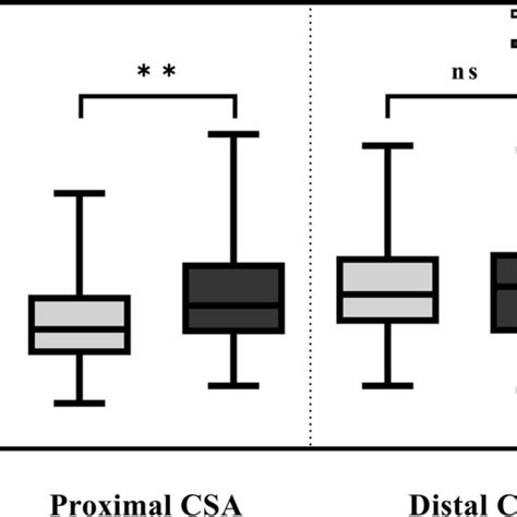 Comparisons Of The Proximal And Distal Nerve Cross Sectional Areas Of Download Scientific