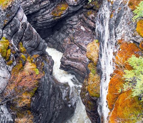 무료 이미지 경치 나무 자연 록 폭포 황야 눈 잎 강 해안선 형성 흐름 얼음 풍경화 빙하 가을 공원 미국 빠른 푸른 협만 북극의