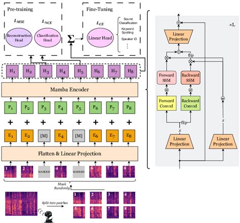 A Top Down View Of Self Supervised Audio Mamba Download Scientific