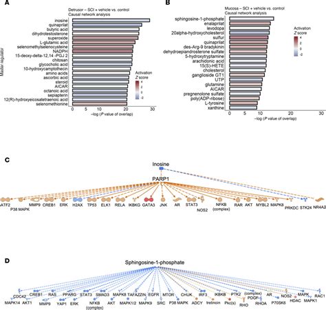 Jci Insight Multiomics Analysis Unveils An Inosine Sensitive Dna