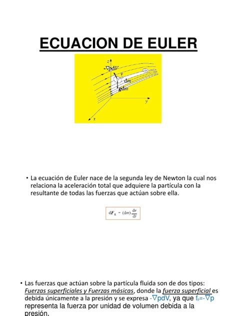 Ecuacion De Euler