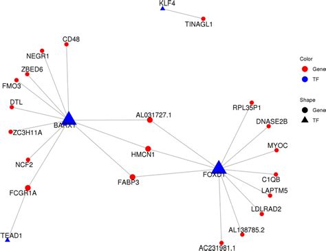 Transcription Regulatory Network Of Four Transcription Factors Blue