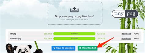 Download Image Greater Than 5mb On Wholesale Brunofugaadvbr