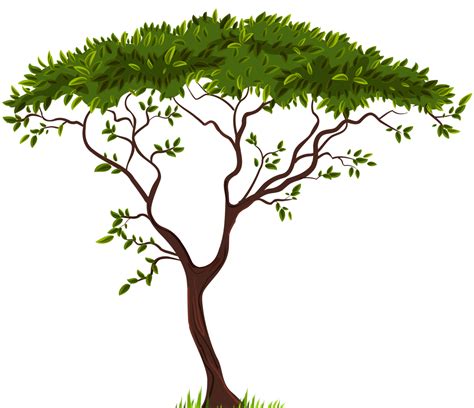 Tree PNG