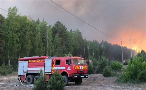 Велику лісову пожежу біля Києва локалізували Вечірній Київ