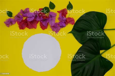 텍스트 또는 노란색 배경과 열 대 잎과 꽃에 그림에 대 한 공간을 가진 목 업 흰색 둥근 종이 꽃 나무에 대한 스톡 사진 및 기타 이미지 Istock