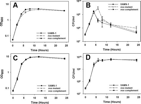 Wild Type And Nos Mutant Growth Curves A B Uams 1 Wild Type Nos