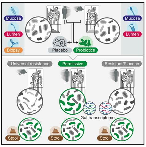 Personalized Gut Mucosal Colonization Resistance To Empiric Probiotics Is Associated With Unique