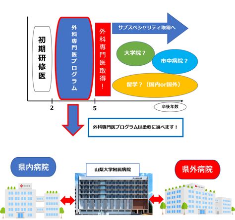 研修例 山梨県外科領域専門研修プログラム