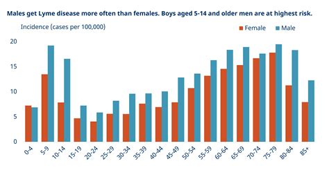 Lyme Disease Vermont Department Of Health