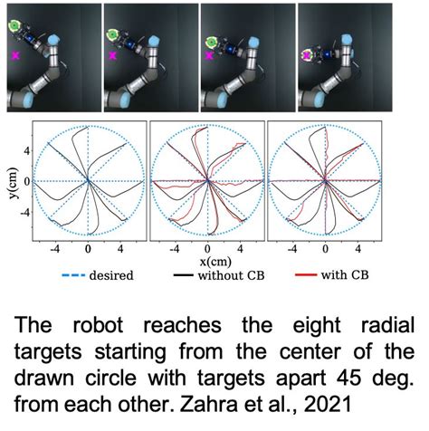 Silvia Tolu On Linkedin Neurorobotics Neuroscientific Brainmodels Robotics Neuroscience