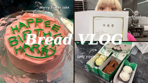 Vlog 나는야 제빵왕이 될 거야 퍼스트 바리스타학원 부산 국비지원 국민 내일 배움 카드 케이크 만들기 해리 포터 케이크 제과제빵학원 Youtube