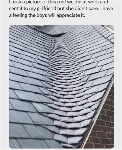 Apoyo A Nuestro Hermano Simio R Carola