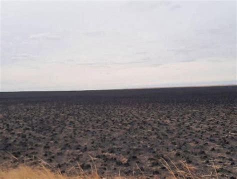 Булган Дорнод аймагт гарсан хээрийн түймрийг бүрэн унтраалаа