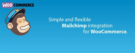 Ways To Grow Your WooCommerce Mailing List And Increase Sales Legit WPCtrl Com