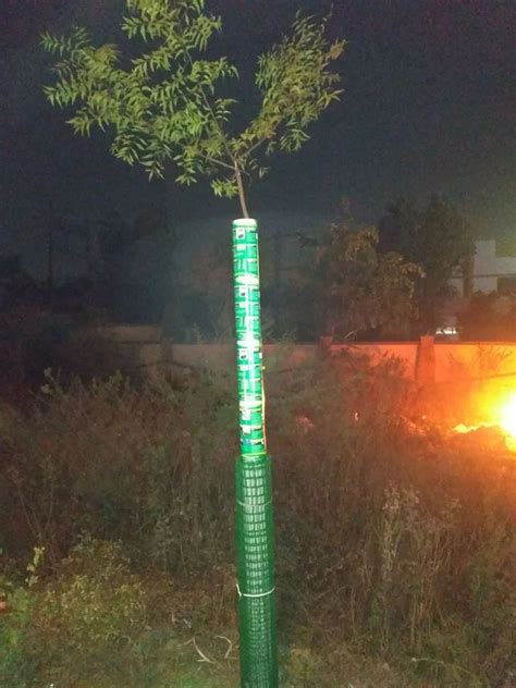 HDPE Tree Guard Fencing At 70 Piece In Nagpur ID 20966768433