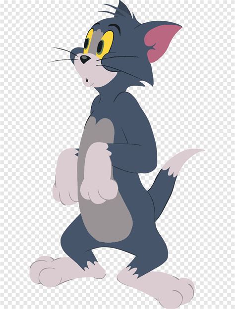 Cartoon Network Tom Art ، توم كات جيري ماوس يقضم بوتش كات توم وجيري