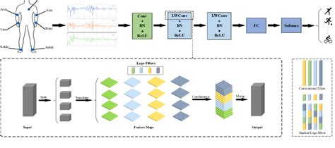 Overview Of The Model Framework With Lightweight CNN For HAR Download Scientific Diagram