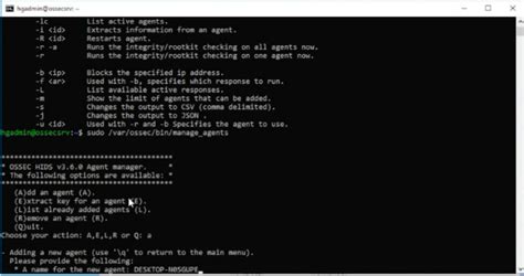 Ossec Open Source Hids With Web User Interface Updated For Ubuntu 2004 And Ossec 360 Hendgrow