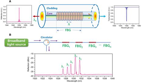 Frontiers Submarine Optical Fiber Sensing System For The Real Time