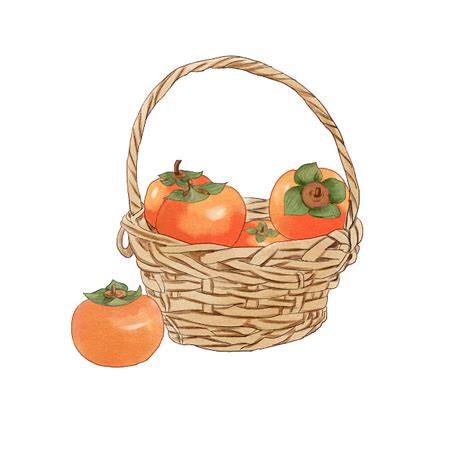 柿柿如意甘草的画园插画师作品涂鸦王国