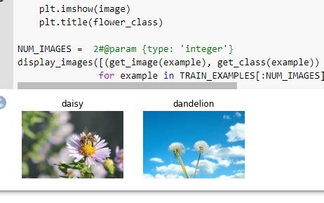 GitHub Wainainapete Flower Classification Model Universal AI Diploma Problem Identification