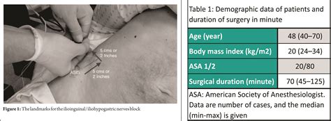 A Novel Approach To Ilioinguinal And Iliohypogastric Nerve Block Using Peripheral Nerve