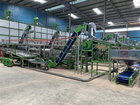 Cashew Processing Plant