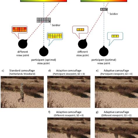 Adaptive Camouflage Algorithm Used In Experiment 1 Download Scientific Diagram